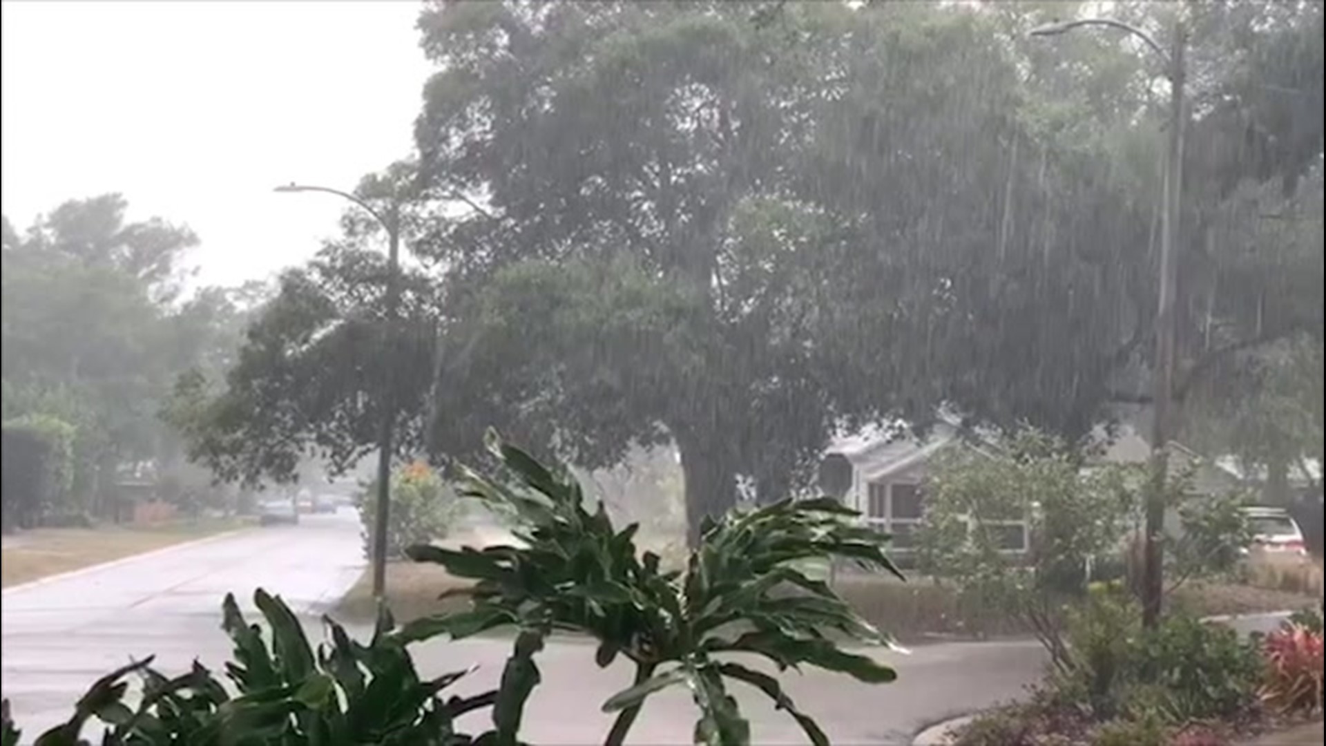 April showers rain down in Florida | wtsp.com