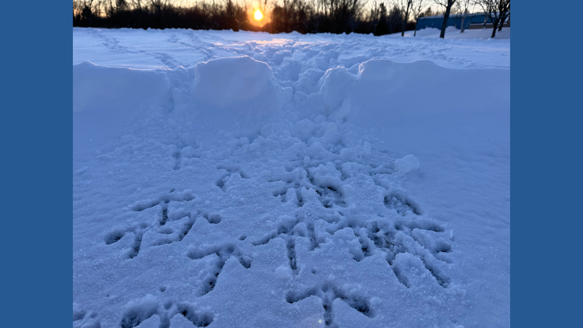 Snow, rain and cold in store for some Thanksgiving travelers | wtsp.com
