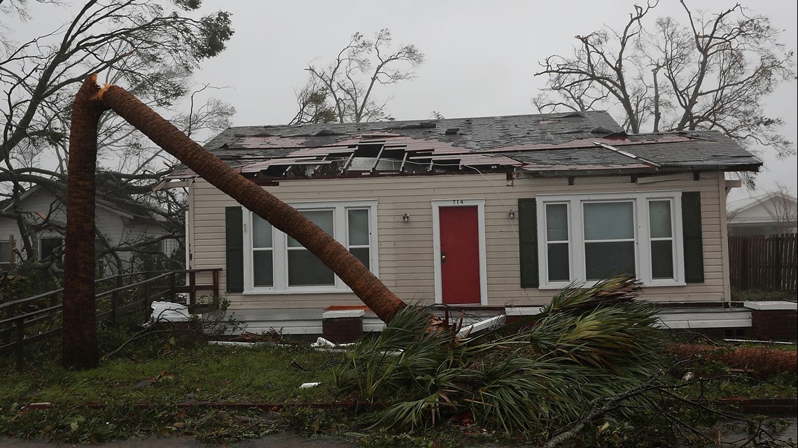 Hurricane Michael downs countless trees in Marianna, Florida | wtsp.com