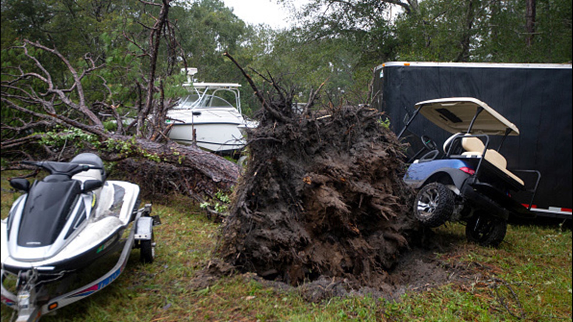 Hurricane Michael downs countless trees in Marianna, Florida | wtsp.com