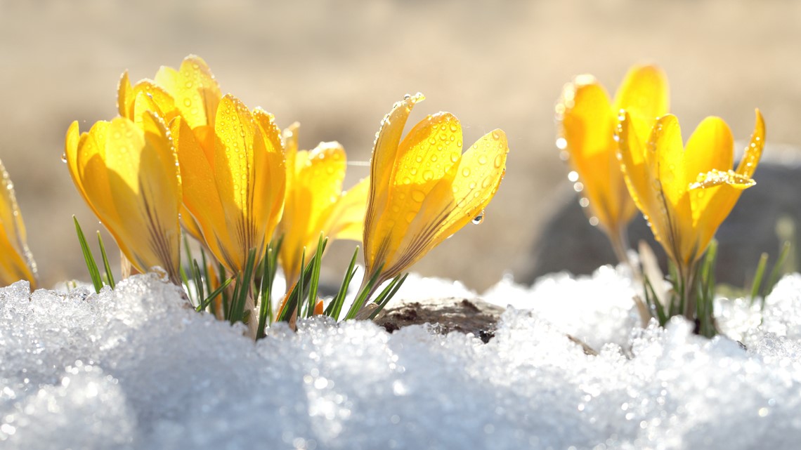 Pastor Henry Lyons ousted again amid fraud accusations | wtsp.com