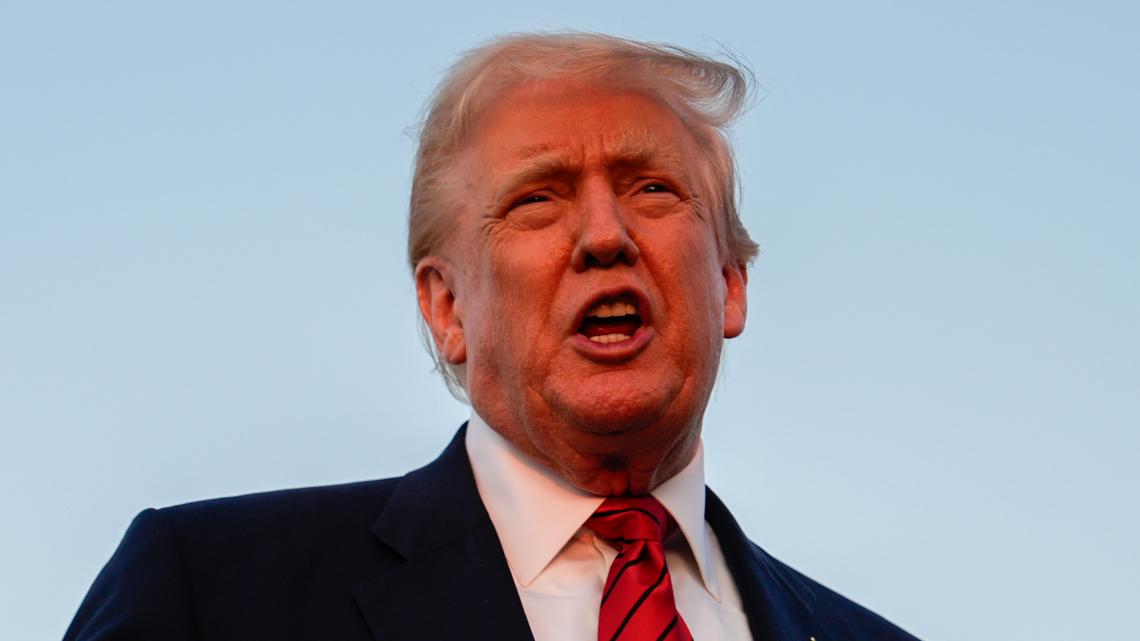 About 10 Tampa Bay WTSP | wtsp.com