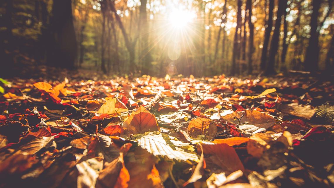 When does fall start in 2025? | wtsp.com