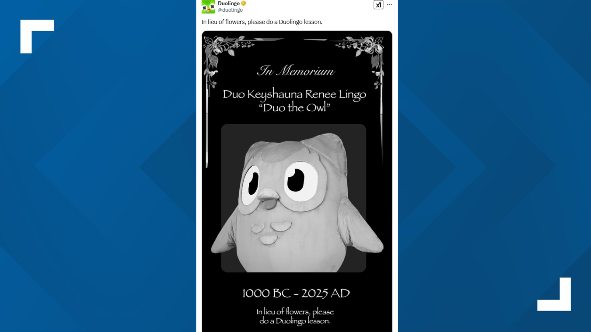 Internet reacts to Duolingo's announcement of mascot Duo's death | wtsp.com