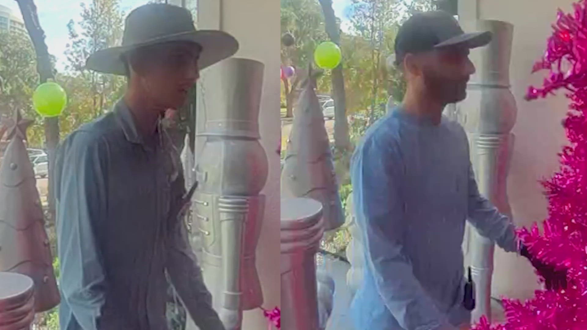 Police: Houston, Texas robbery scheme involved fake tree trimmer | wtsp.com