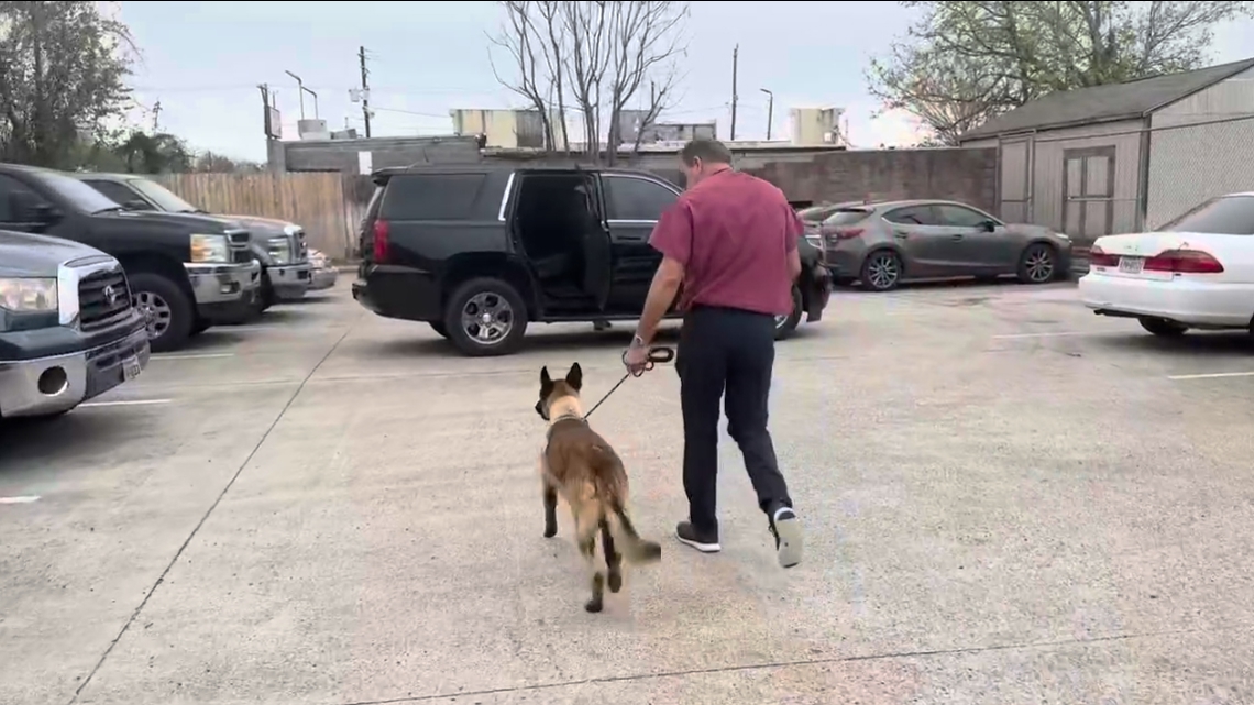 K-9 dog in manhunt is released from the hospital | wtsp.com