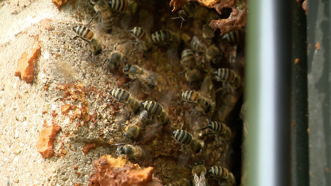 Lakeland-area woman Loretta Pickard dies waiting for Polk County Fire ...