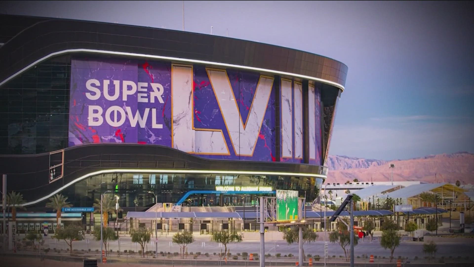 Florida man streaks at Super Bowl LVIII, explains why he did it | wtsp.com