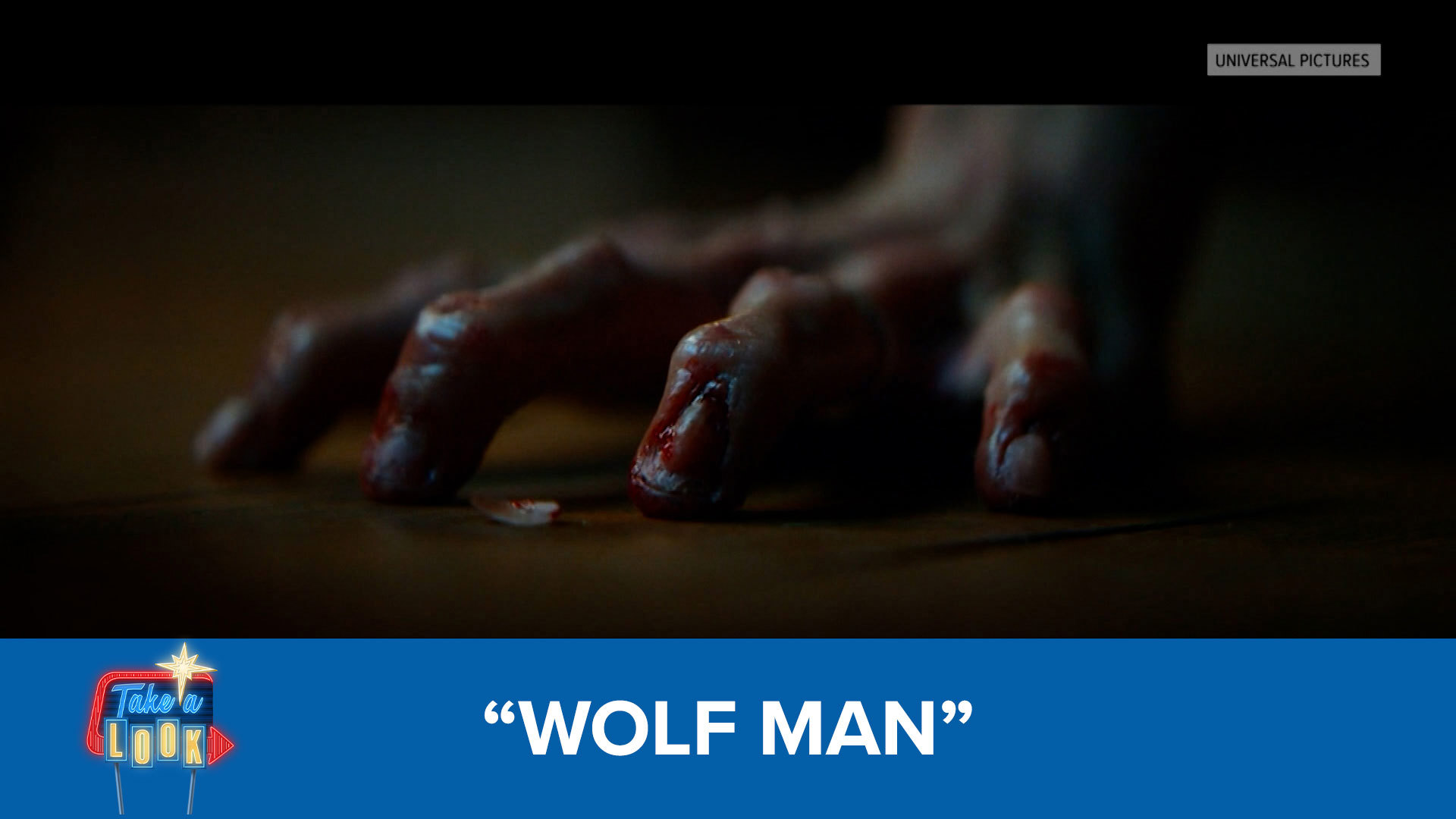 Meet the cast of the new thriller 'Wolf Man' | Take a Look | wtsp.com