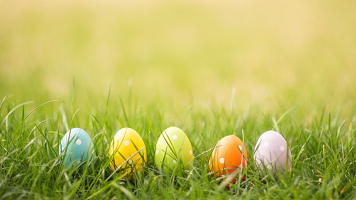Easter Sunday 2023 Publix Closed Winn Dixie Open Wtsp Easter Sunday 2023 Publix Closed Winn Dixie Open Wtsp