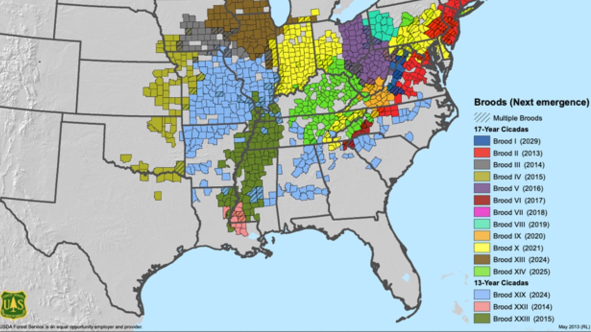 Cicadas in Florida: Will Broods XIX, XIII emerge here? | wtsp.com