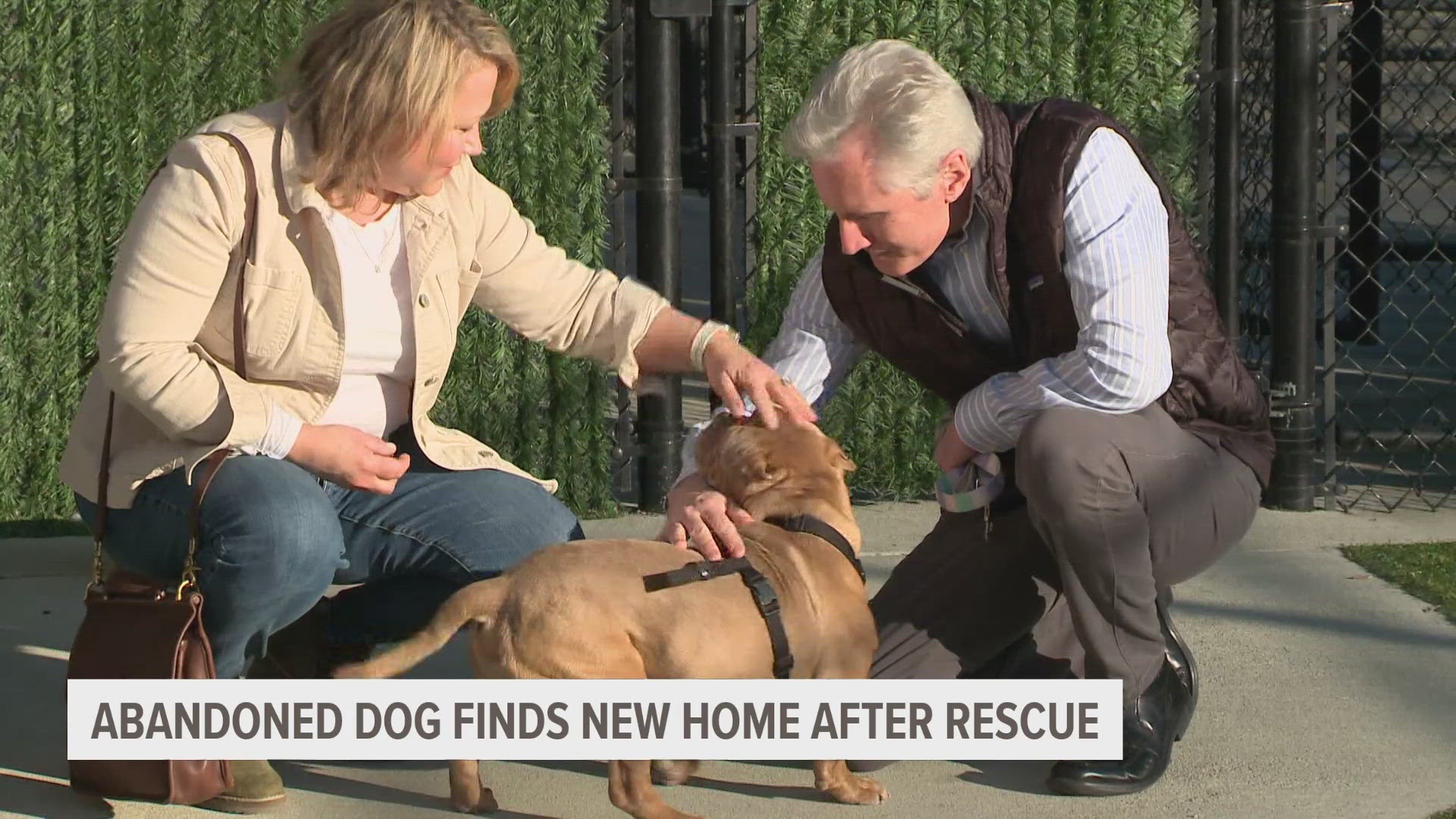 Abandoned, neglected dog found in trash bag finds forever home | wtsp.com