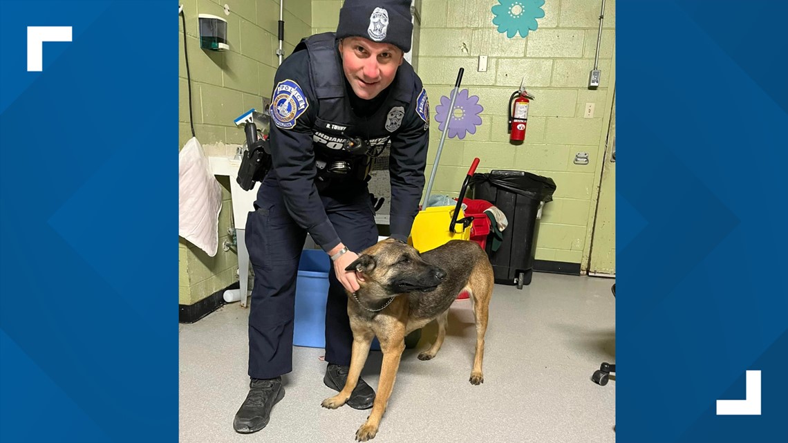 IMPD reminds Hoosiers to take care of animals during extreme cold ...