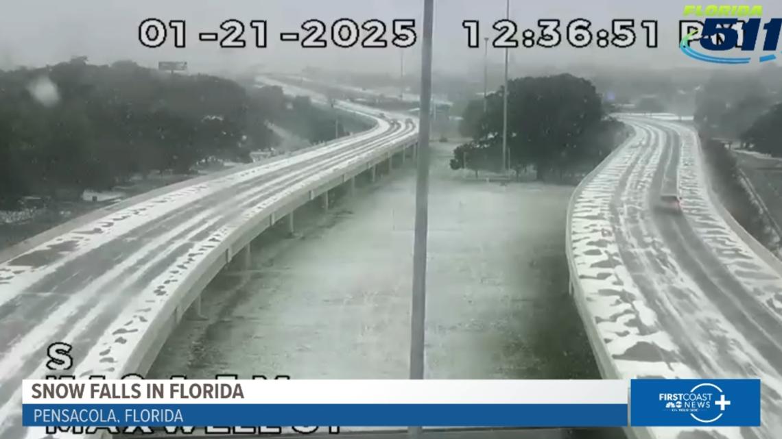 Southeast Georgia snowfall live camera | wtsp.com