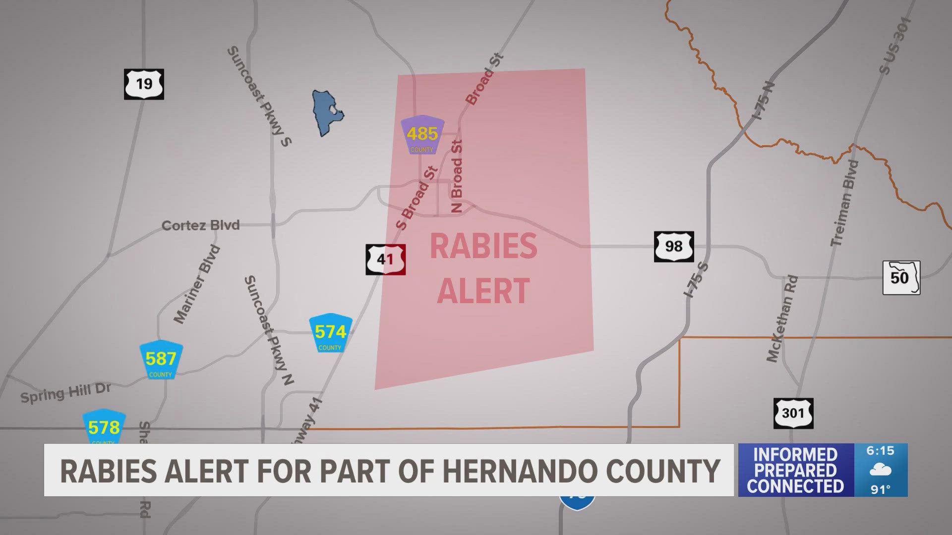 Rabies case confirmed in Hernando County | wtsp.com