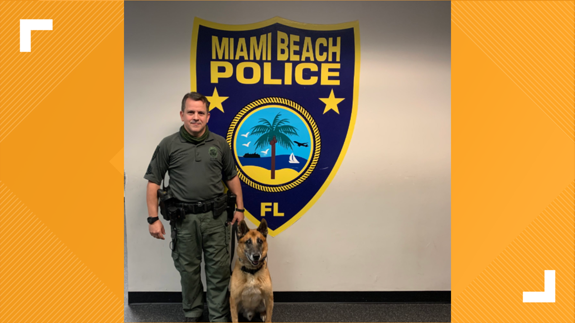 Miami Beach Police Department K-9 retires after 11 years | wtsp.com