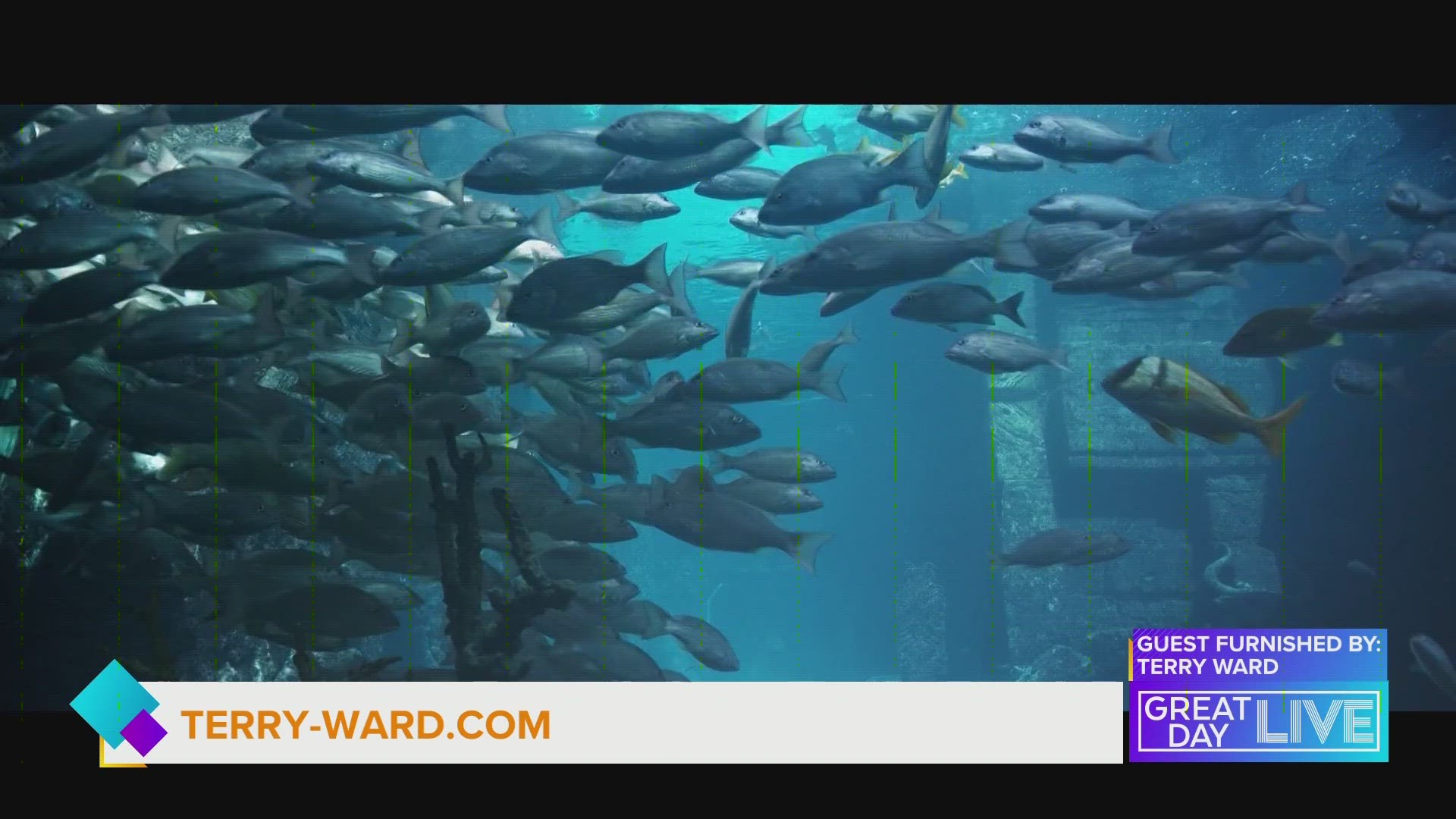 Labor Day escapes | wtsp.com