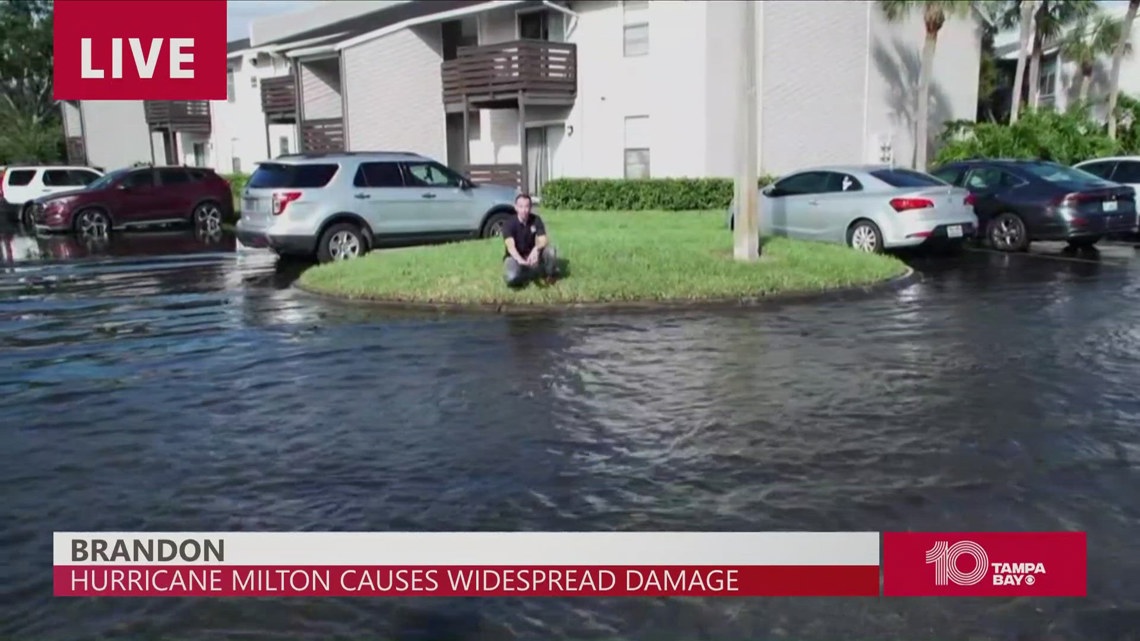 Wind, water damage in Brandon from Hurricane Milton | wtsp.com