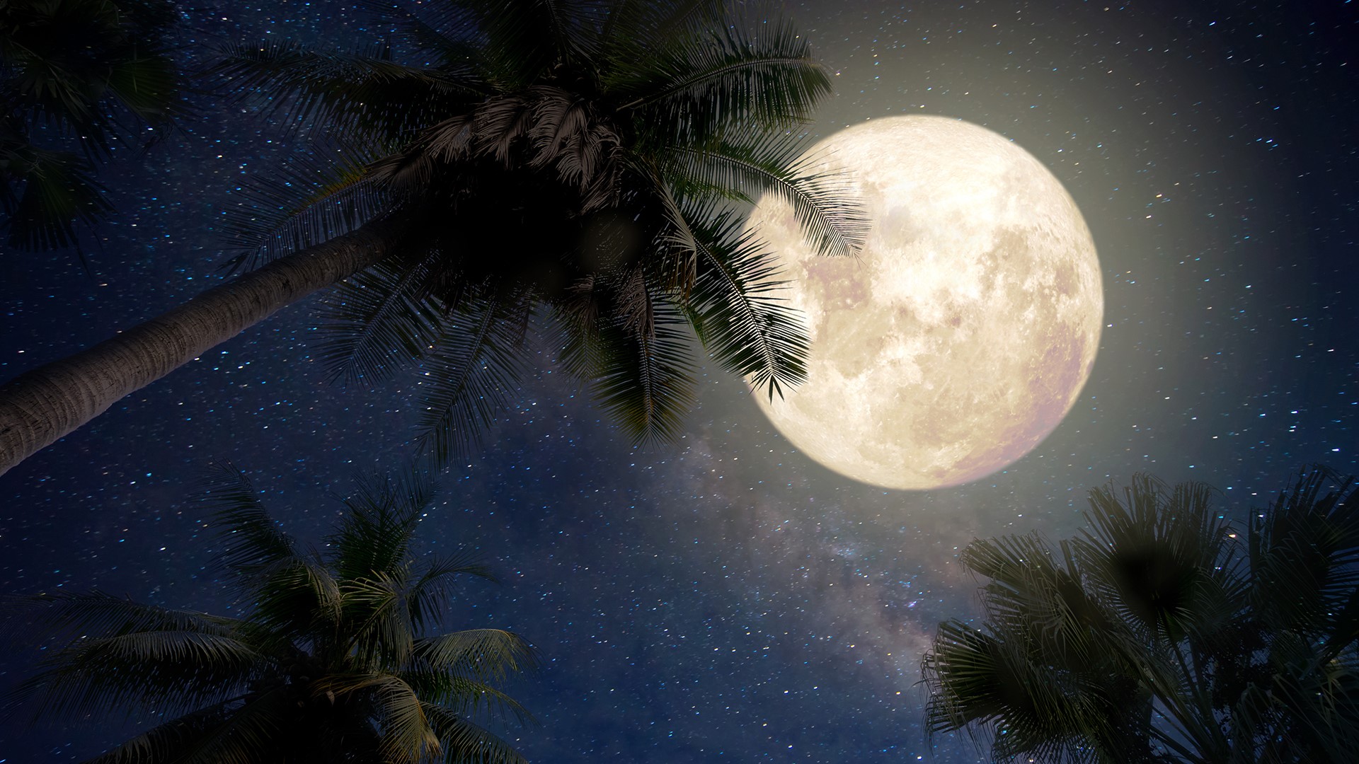 2020’s largest and closest new moon supermoon occurs tonight | wtsp.com