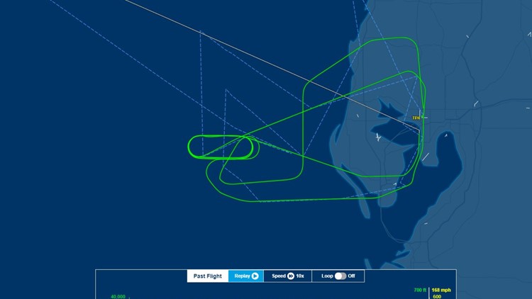Southwest flight from Tampa forced to turn around, make emergency ...