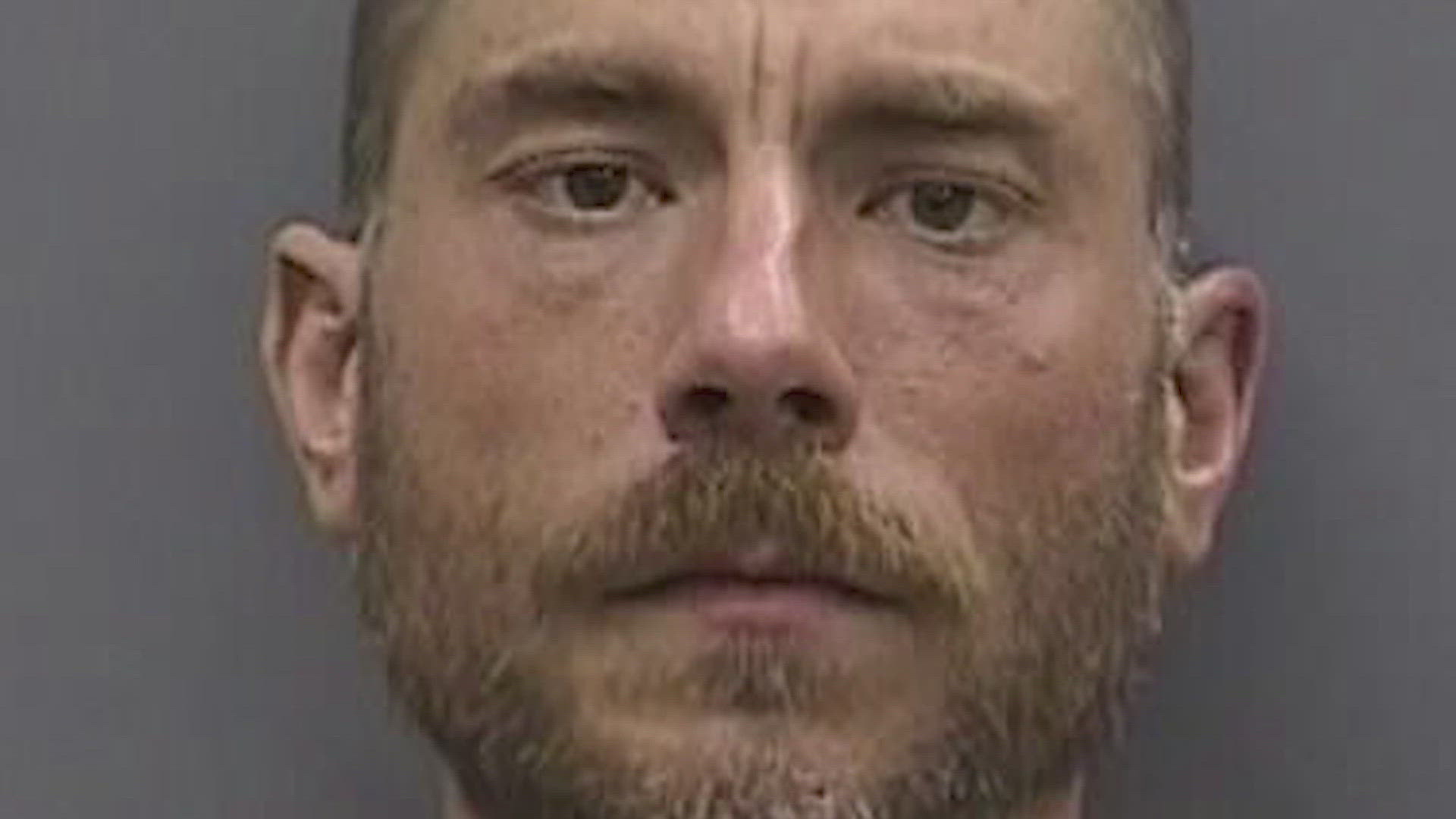 Florida man admits to killing his dog by setting it on fire, police say ...