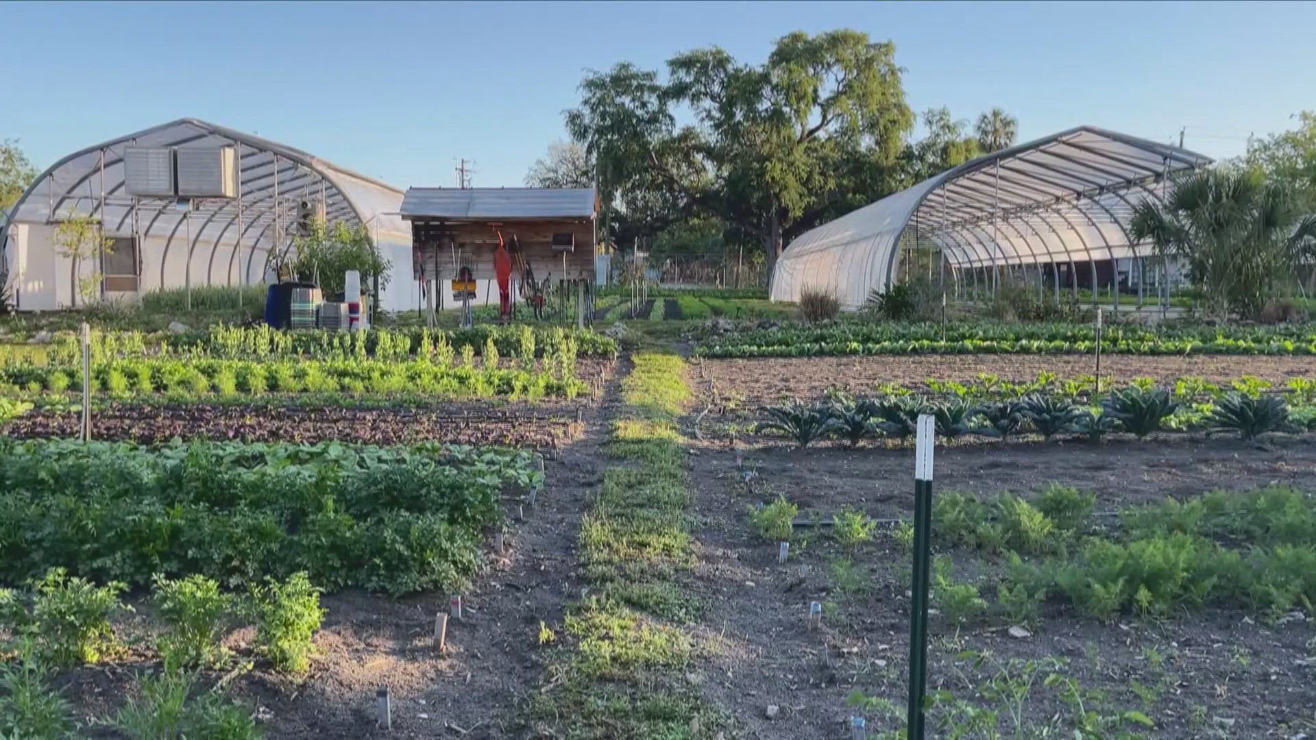 Food Waste Prevention Week: Small changes make big difference | wtsp.com