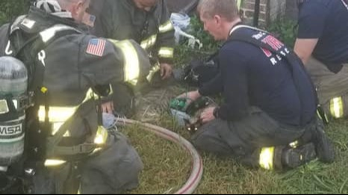 Citrus County Fire Rescue saves cats from house fire | wtsp.com