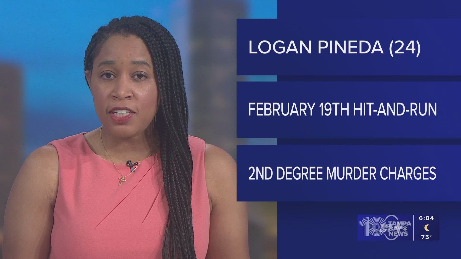 Tesla driver arrested after deadly hit-and-run in Hudson, FHP says ...