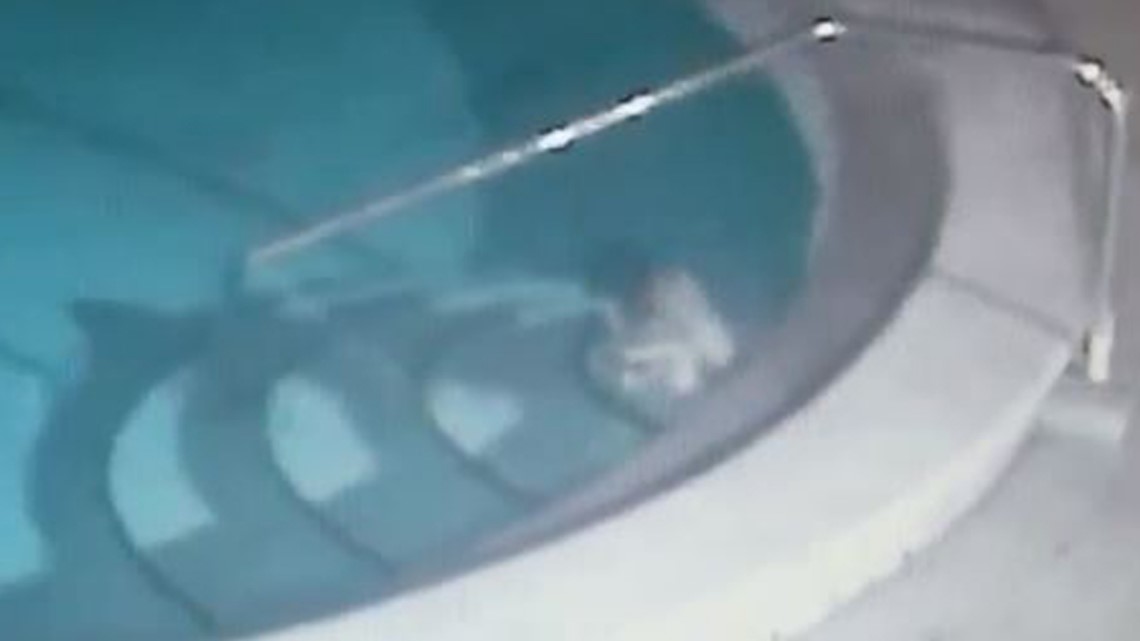 Rental property owners discover masked 'pooping bandit' in pool in ...