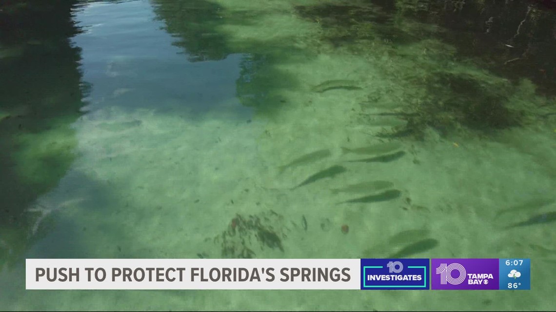 Saving our Springs: How pollution, pumping and people are destroying ...