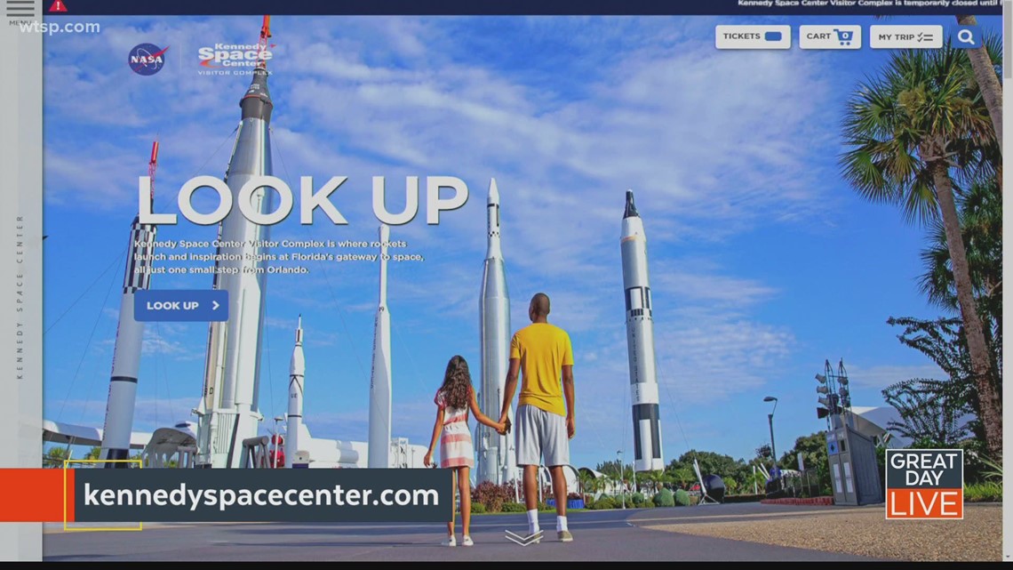 Make your own space rocket from home | wtsp.com