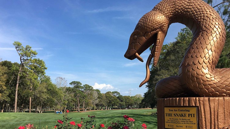 The Valspar championship greets fans with iconic snake statue | wtsp.com