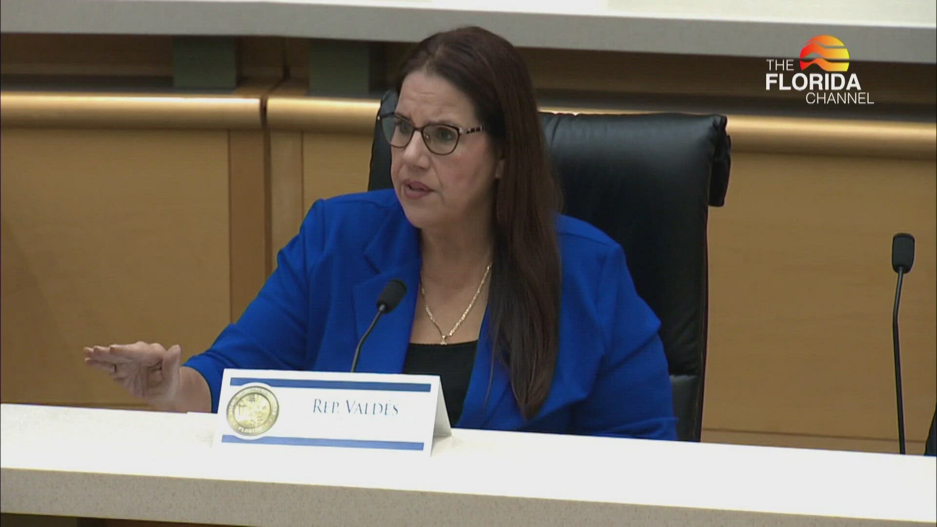 Hillsborough Rep. Susan Valdés switches party affiliation | wtsp.com