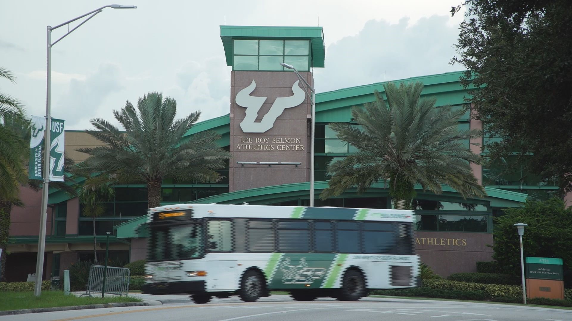 USF launches brand-building program for student-athletes | wtsp.com