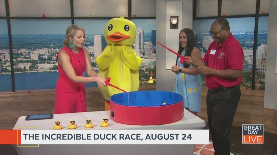 The Incredible Duck Race | wtsp.com