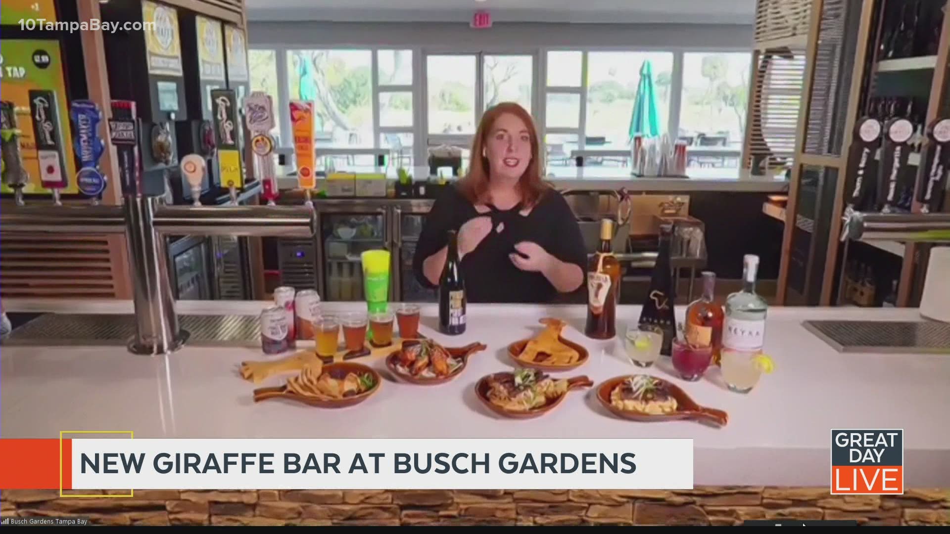 New giraffe bar at Busch Gardens Tampa Bay | wtsp.com