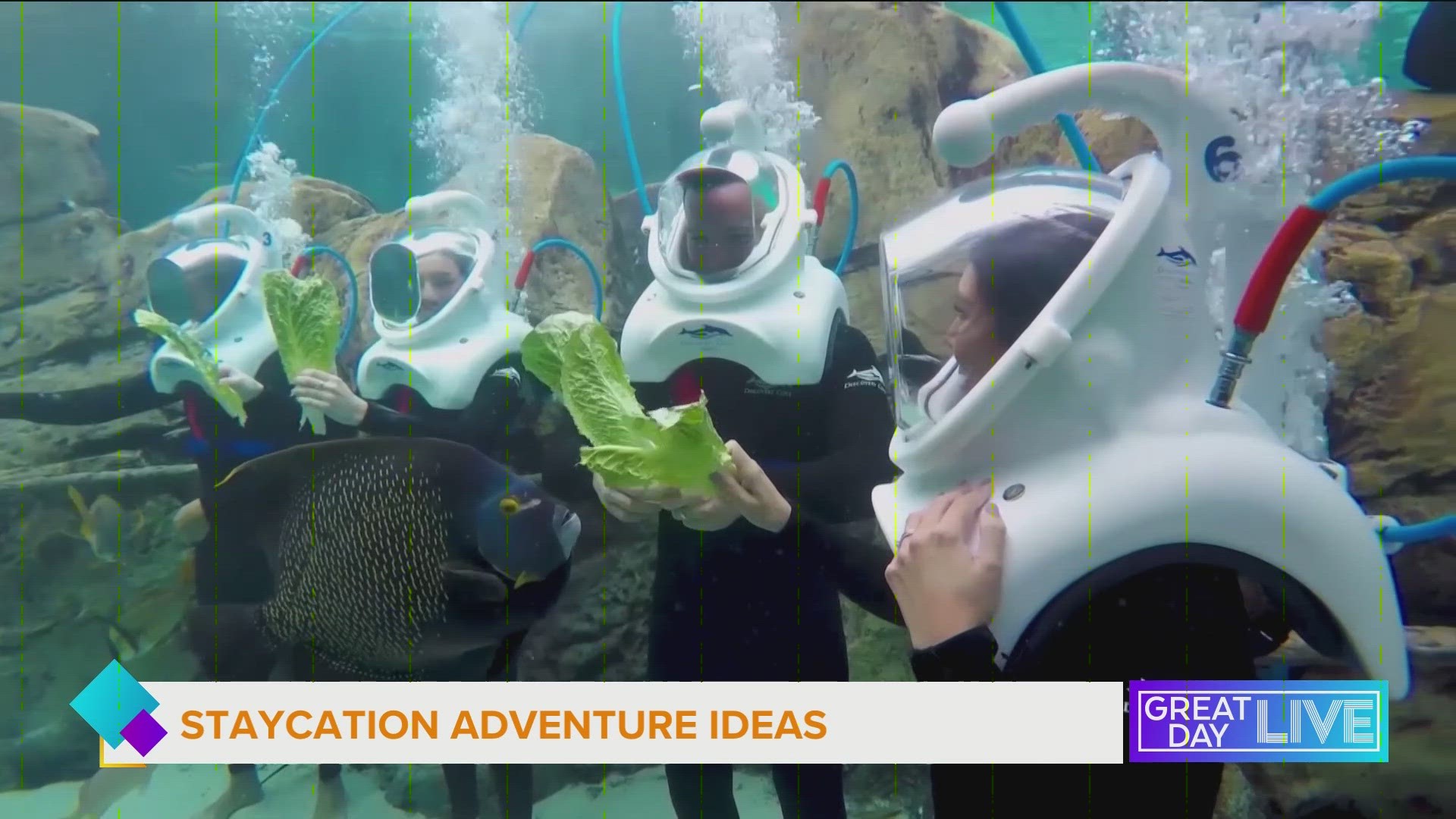 Spring break day trips | wtsp.com