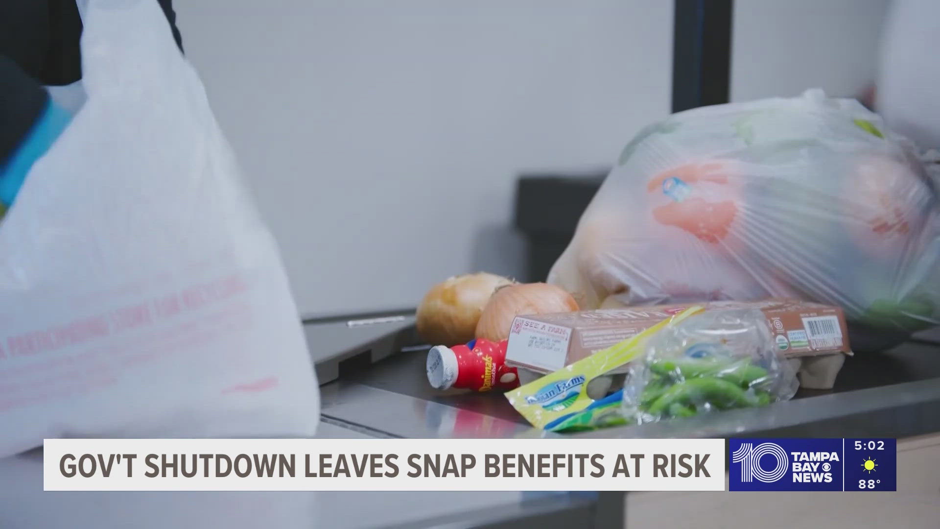 Florida Democrats sign letter pushing DeSantis to protect SNAP benefits ...