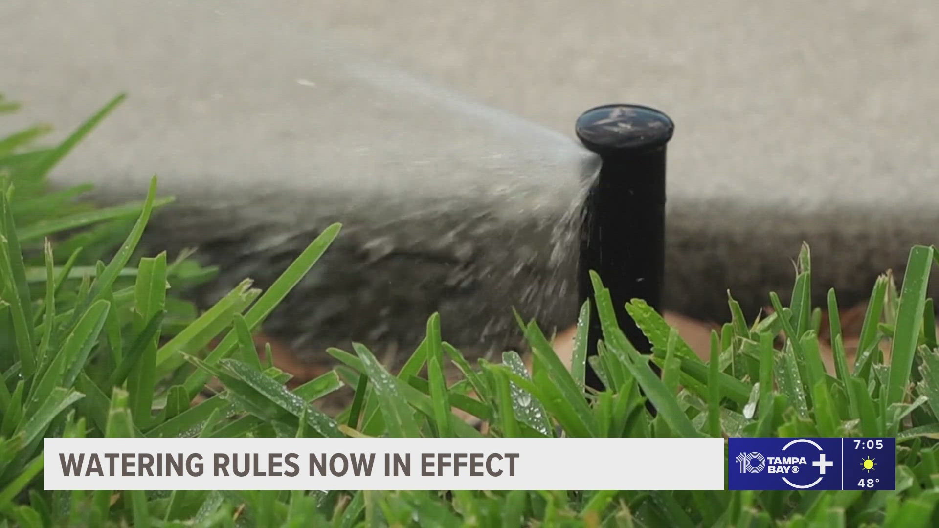 Watering rules are now in effect around the Tampa Bay Area | wtsp.com