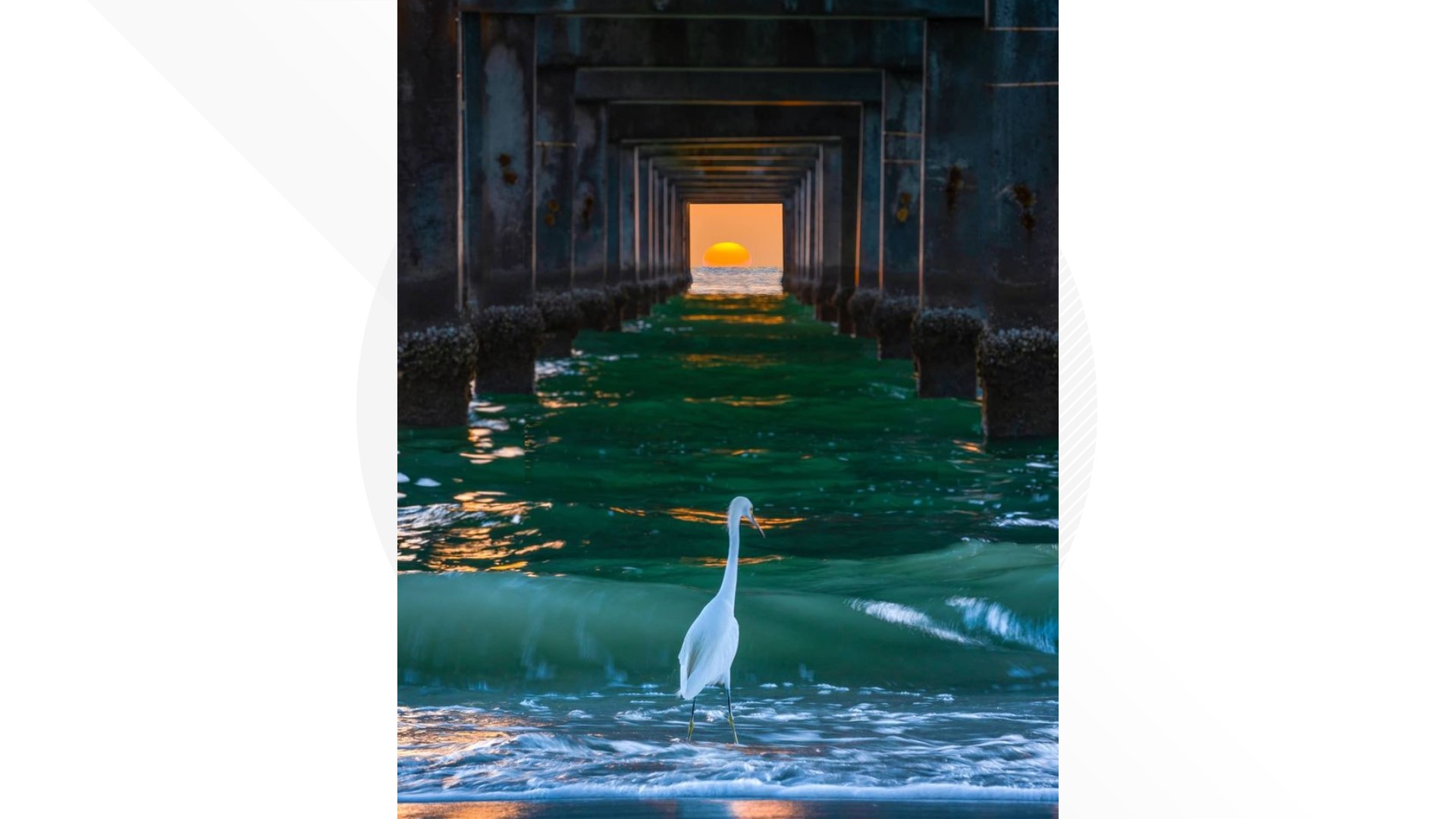 Picture of Pier 60 at Clearwater Beach beautifully captured | wtsp.com