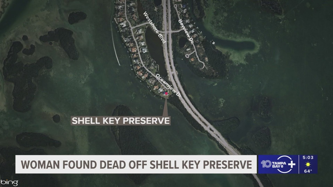 Woman found dead off of Shell Key Preserve, deputies say | wtsp.com