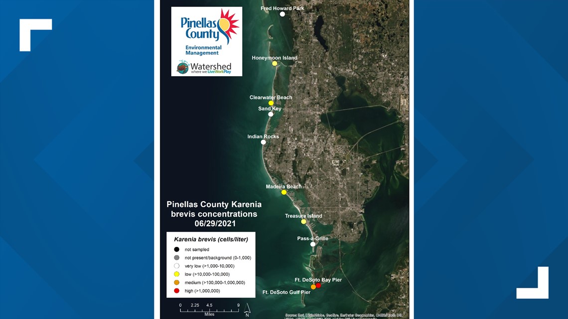Pinellas Hope Map