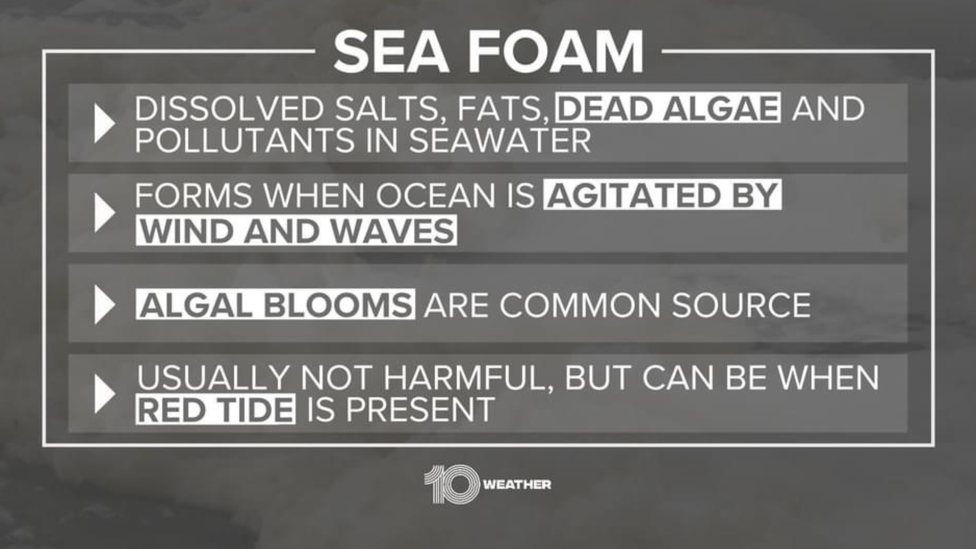 What is sea-foam and is it safe to touch at the beach? | wtsp.com