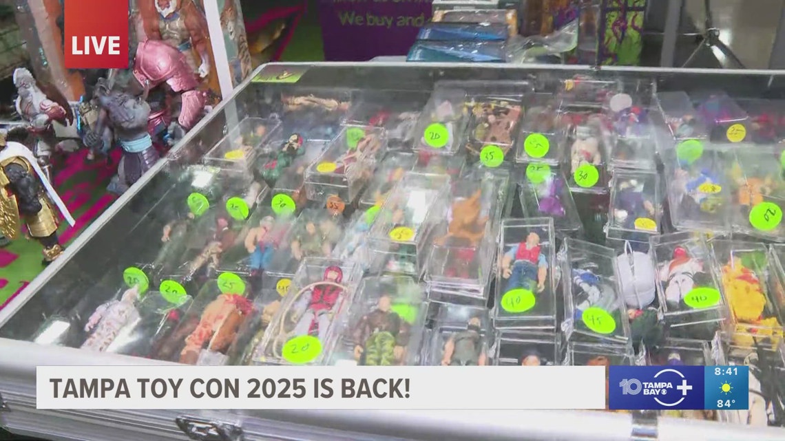 Relive childhood memories and nostalgia at Tampa Toy Con 2025 | wtsp.com