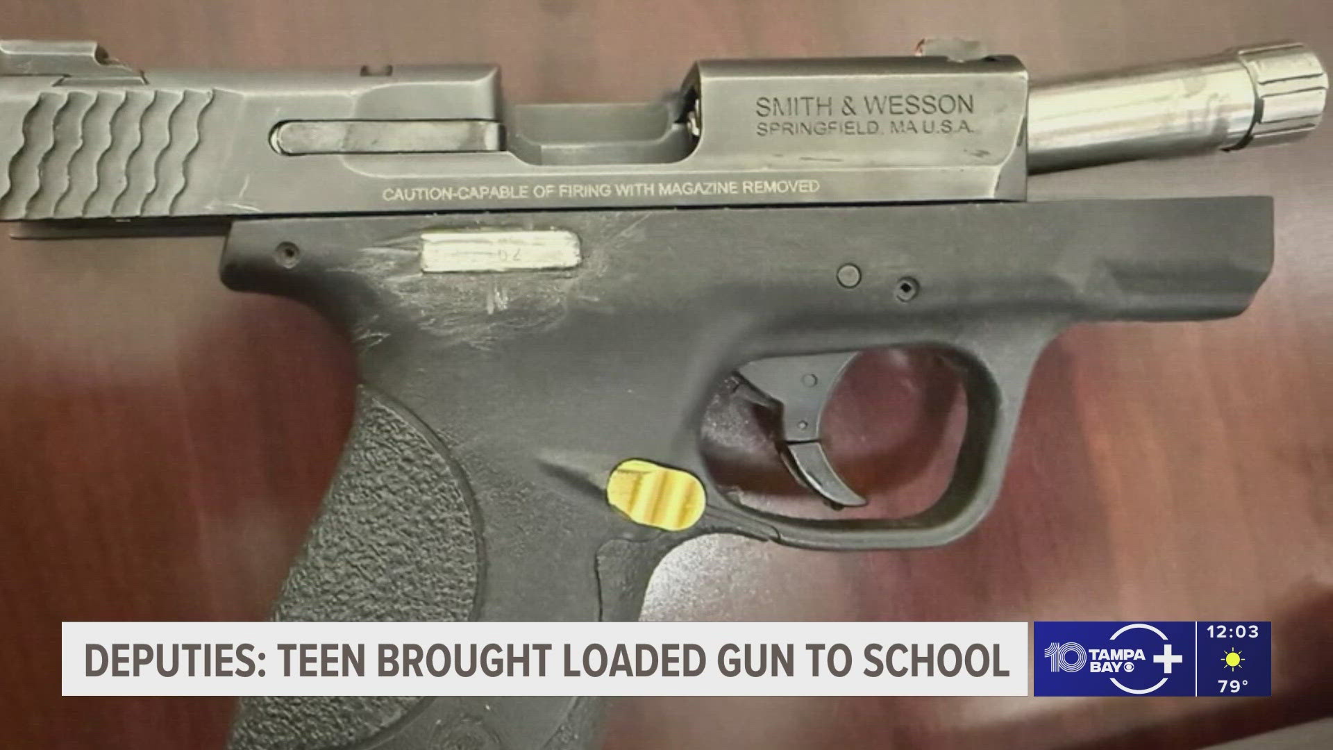 15-year-old Hillsborough County high school student accused of bringing loaded gun, knife to ...