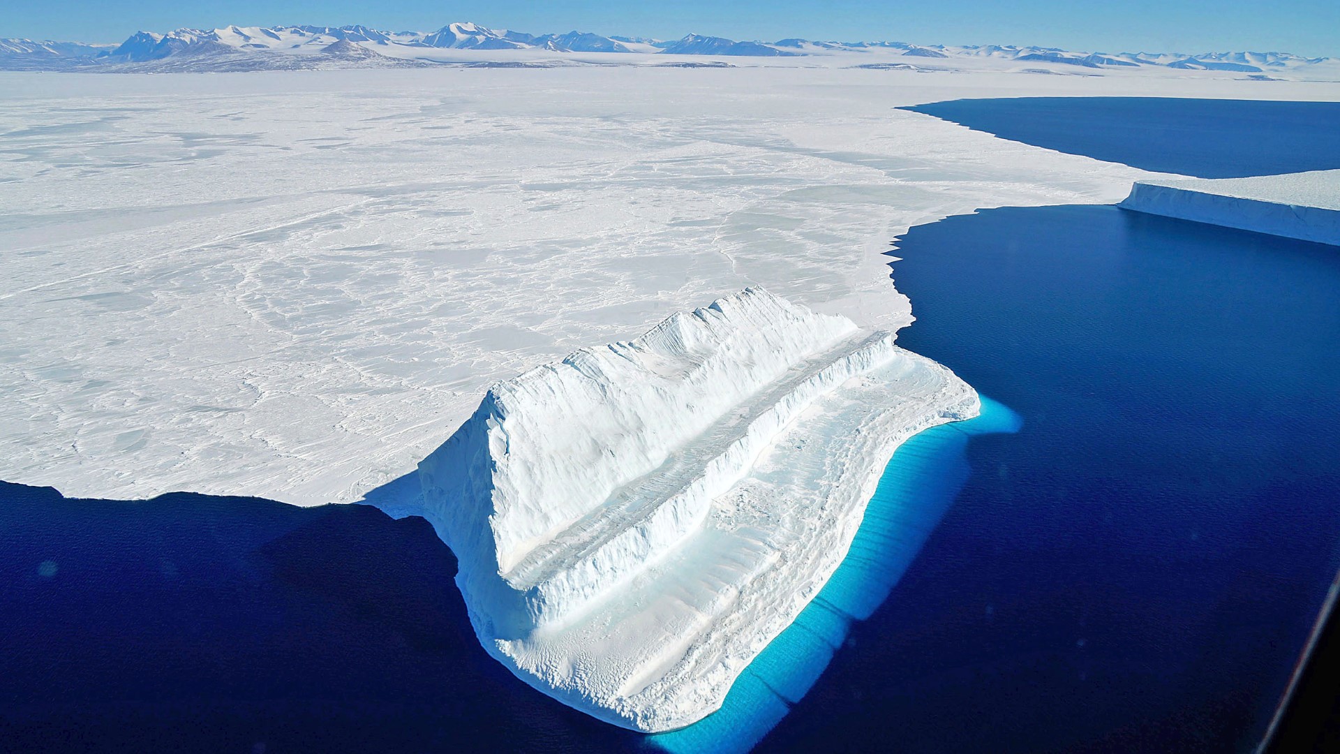 90-million-year-old rainforest found under Antarctica | wtsp.com