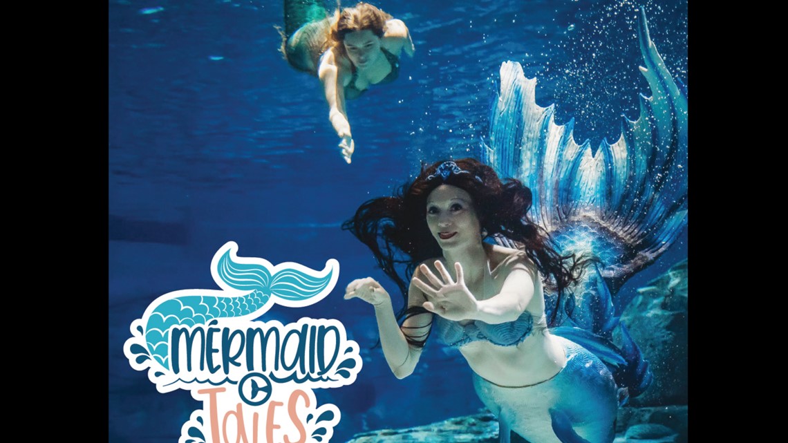 Enchanting mermaids at CMA | wtsp.com