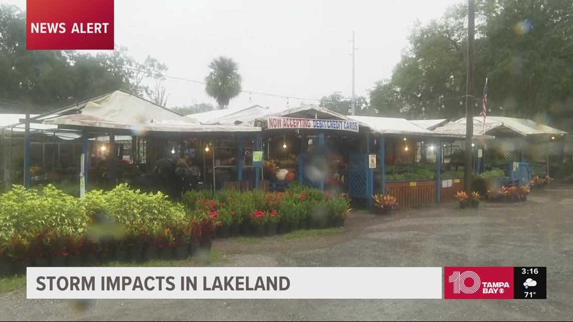 Storm impacts in Lakeland following tropical storm | wtsp.com