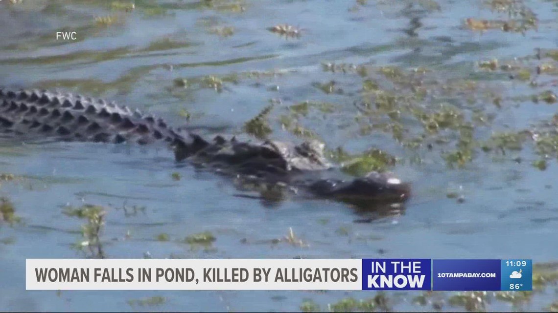 911 call released after Florida woman falls in pond, killed by ...