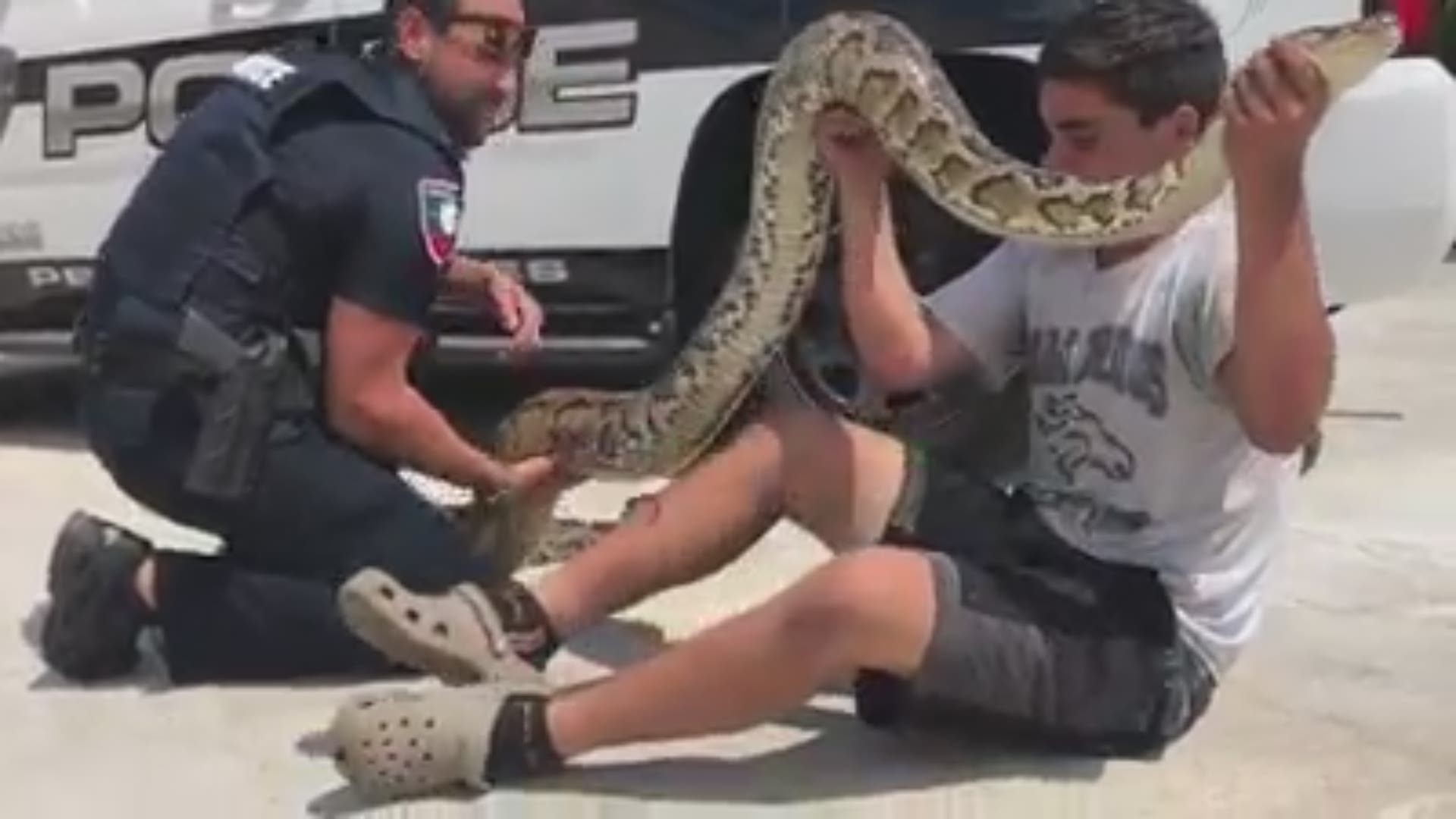 Teenagers catch 13-foot python near Everglades | wtsp.com